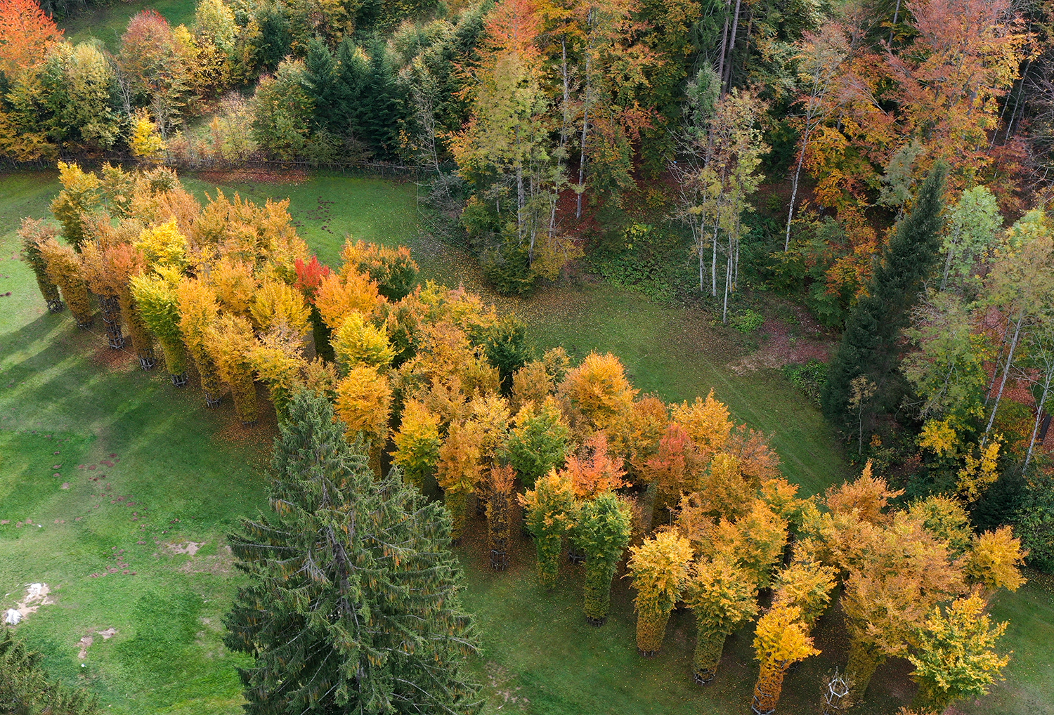 Zintek: titanium zinc rolled products for roofing and cladding